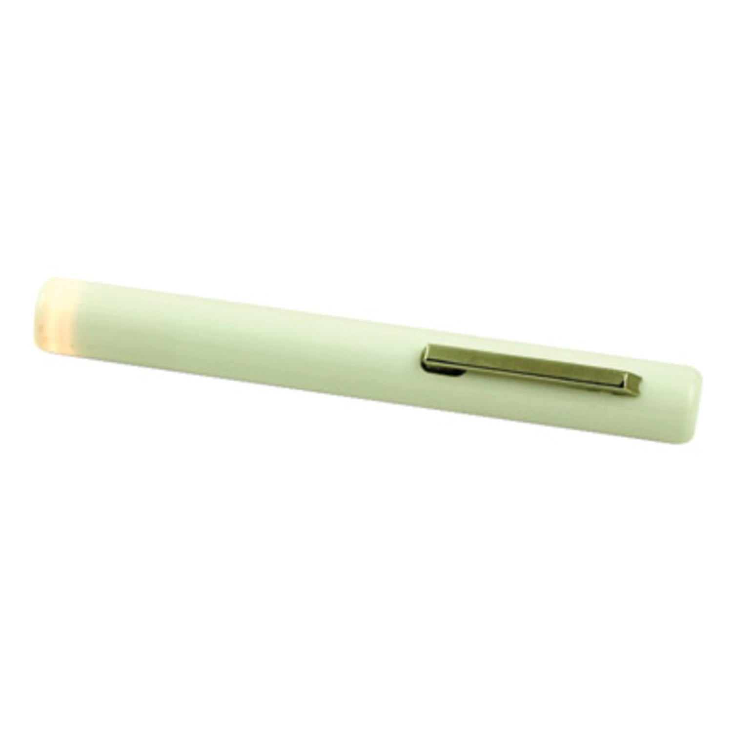 Disposable Pen Torch – Care-Supplies